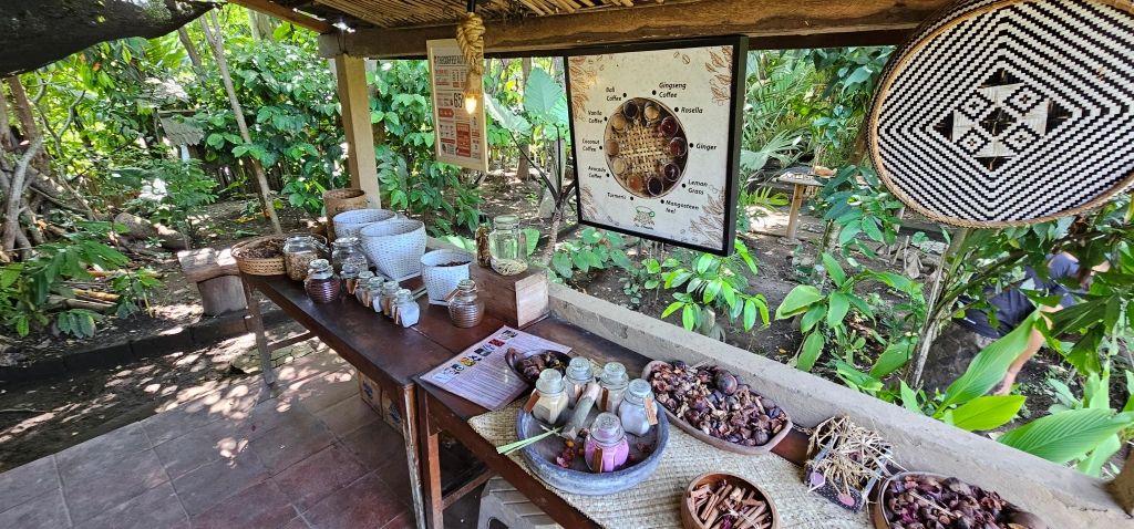 Exploring Mas Plantation: Bali’s Arabica Coffee and Kopi Luwak ...